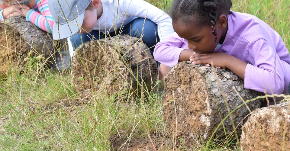 Lakelands Primary School's wonderful 'Sapling School' - News - The ...